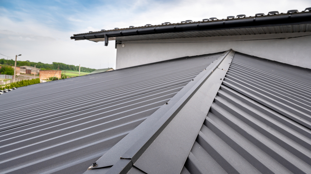 Shop Metal Sales™ Roof Panels - Zeeland Lumber & Supply
